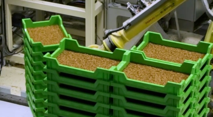 La Jornada - Granjas de insectos, alternativa para enfrentar crisis alimentaria: Corporativo Kosmos