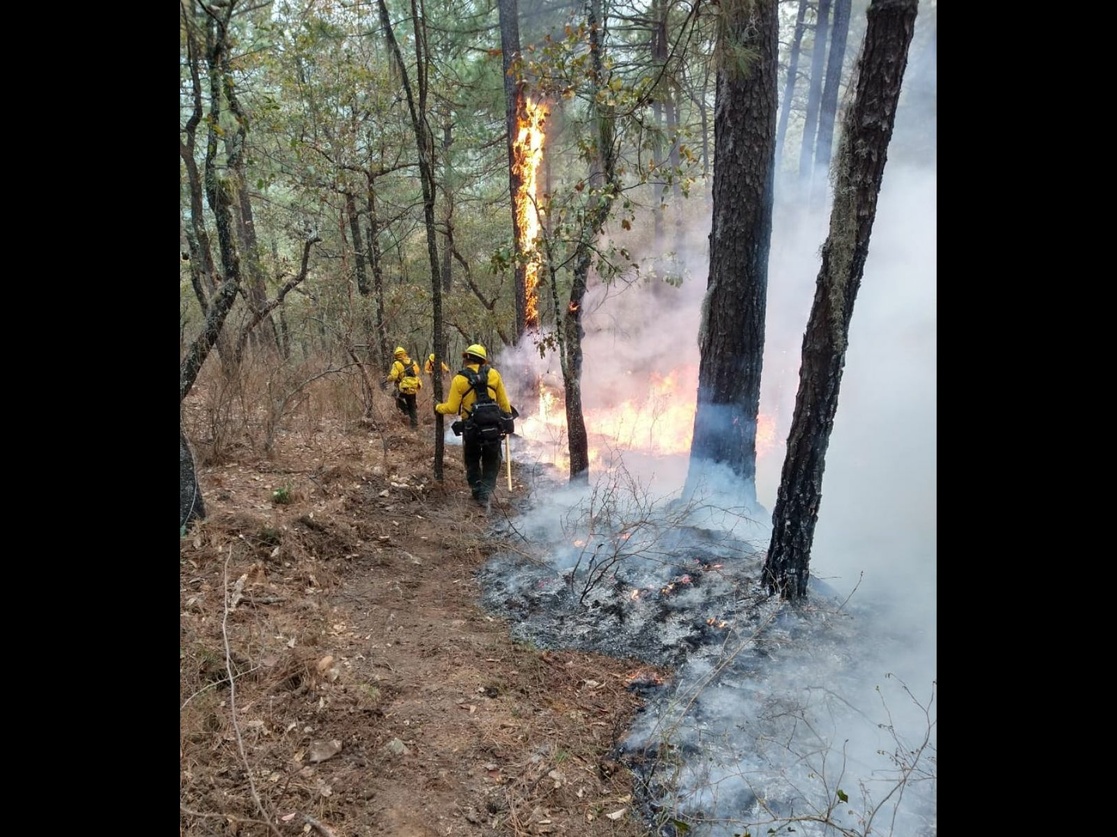 La Jornada Reporta Conafor 66 Incendios Forestales Activos En El País